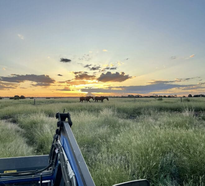 McNicholl Livestock: Strengthening environmental credentials - AgriWebb