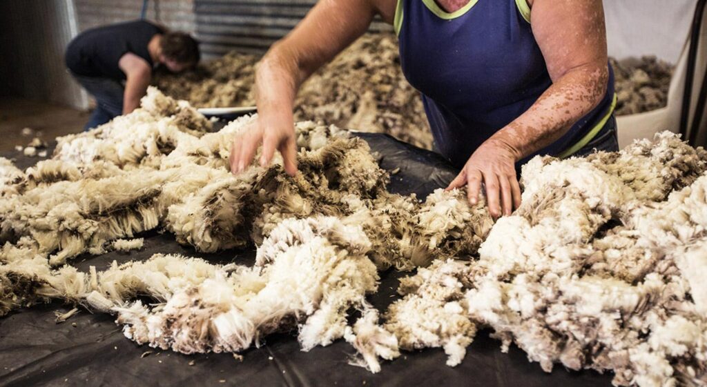 Mount Ireh Estate: Scaling up through skilling up - AgriWebb