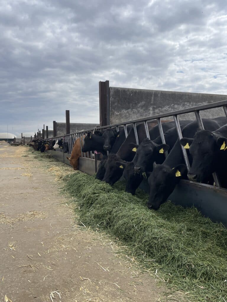 Rob Moore: Using AgriWebb to secure investment - AgriWebb