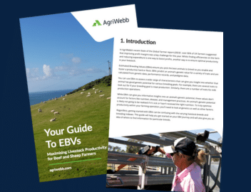 Guide: Getting Started with EBVs