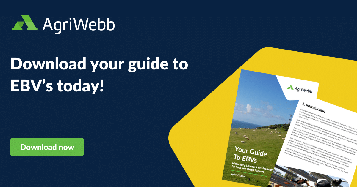 Guide: Getting Started with EBVs